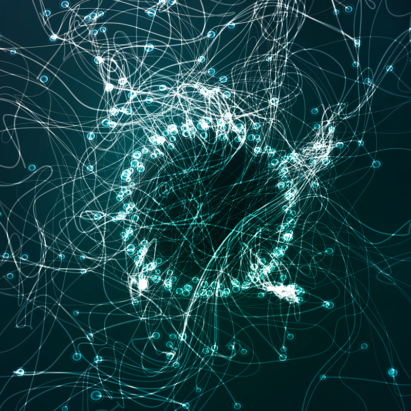 Sandvine launches new Active Network Intelligence Portal powered by use ...